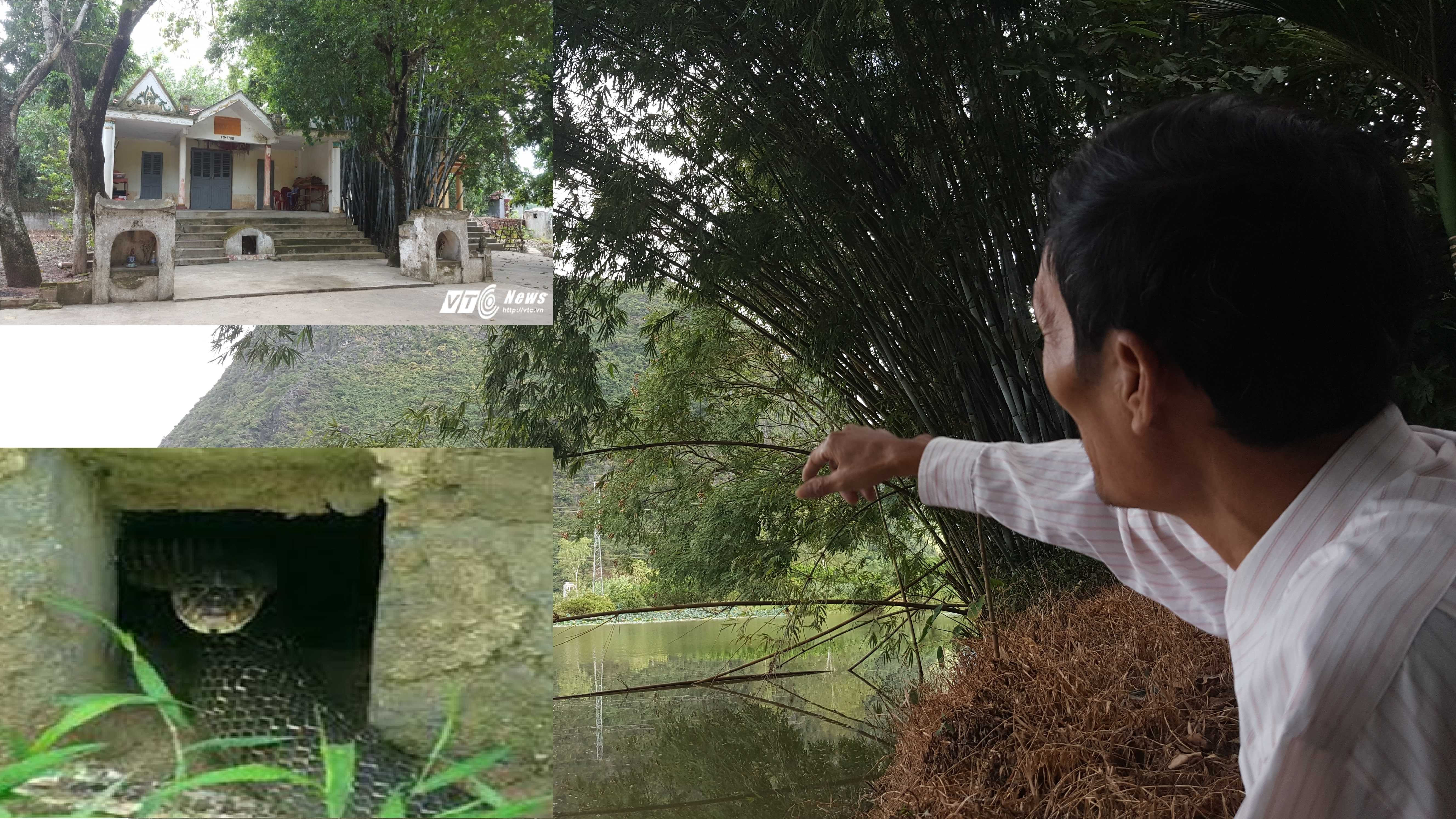 Đi tìm "cha đẻ" của 3 con rắn khổng lồ trên đỉnh núi Mằn ở Quảng Ninh