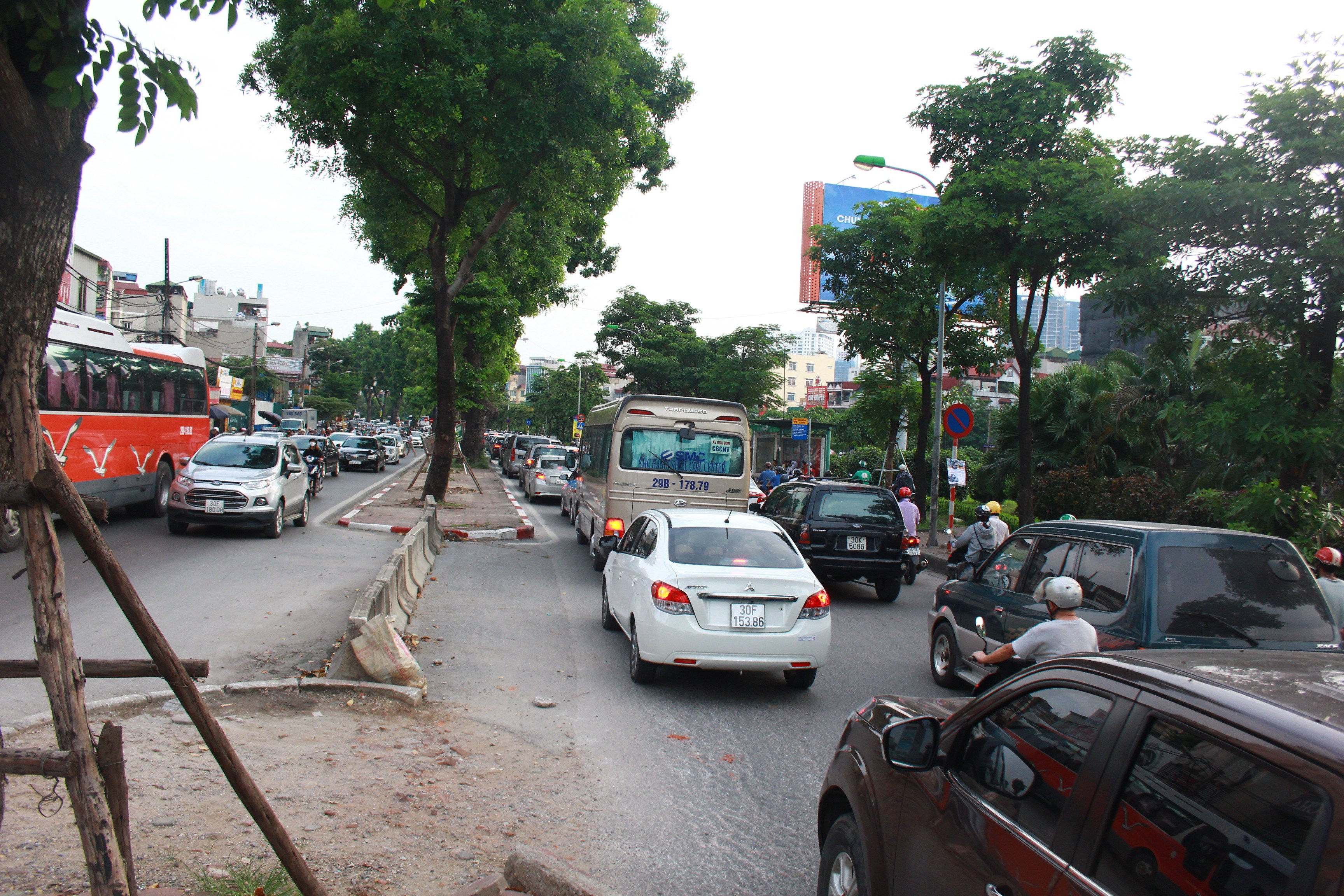 Di chuyển gần 500 cây xanh để mở rộng đường Láng: Hàng xà cừ sẽ ra sao?