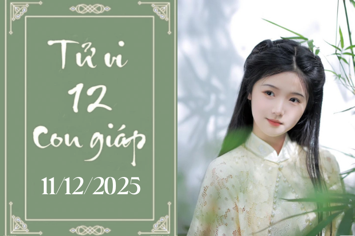 Tử vi 12 con giáp hôm nay ngày 11/12/2025: Hợi hanh thông, Tuất cần ...