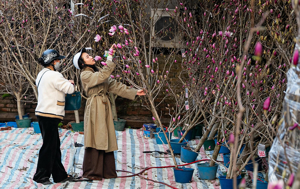 Dự báo thời tiết dịp nghỉ Tết Nguyên đán Bính Ngọ 2026