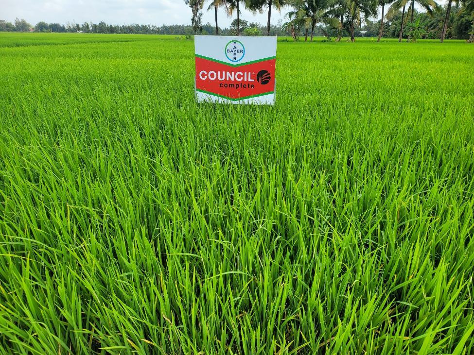 Bayer ra mắt giải pháp mới giúp nhà nông quản lý cỏ hiệu quả