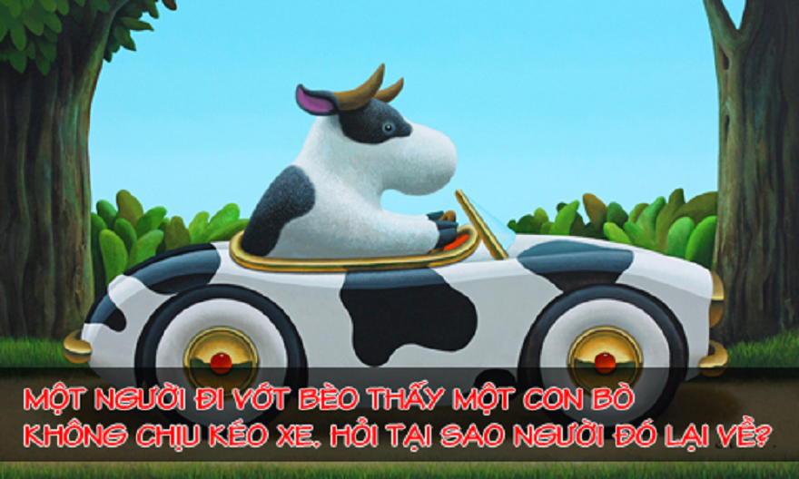 Đố bạn vì sao ông lão quyết định quay về khi thấy con bò?