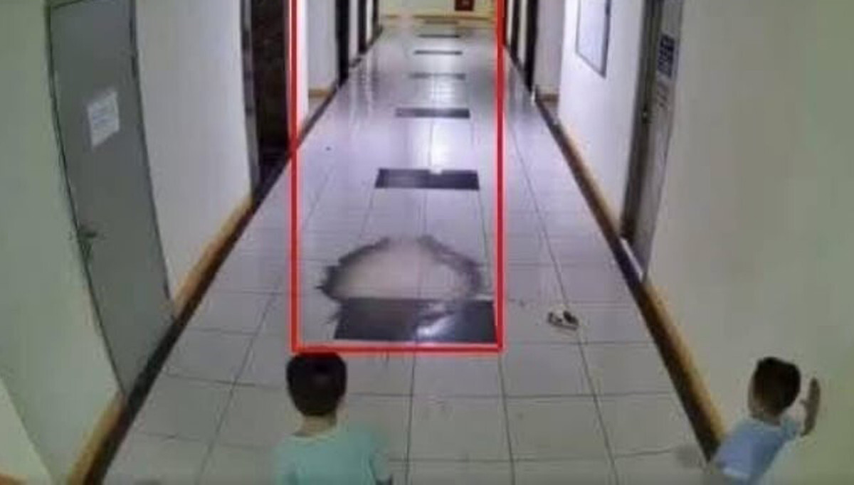 Ba bé trai ném dép làm hỏng 2 thang máy chung cư, xôn xao tin đồn 'đền ...