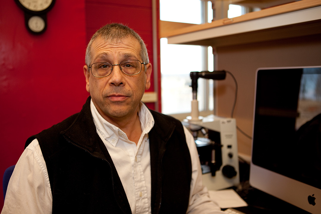 Trước thềm Lễ trao giải mùa 3, cộng đồng khoa học quốc tế nói gì về ...