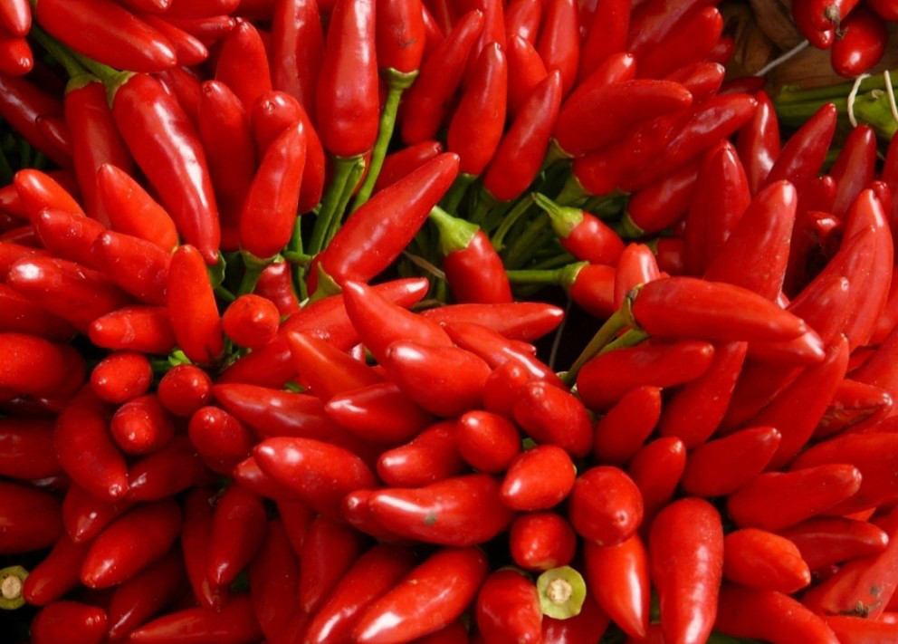 Những lợi ích đáng kinh ngạc của quả ớt
