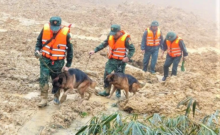 Tạm dừng tìm kiếm 3 nạn nhân mất tích trong vụ sạt lở núi kinh hoàng ở ...