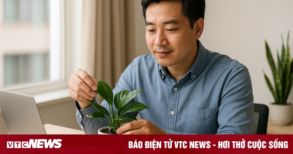 Những cây phong thủy hợp với người tuổi Thân