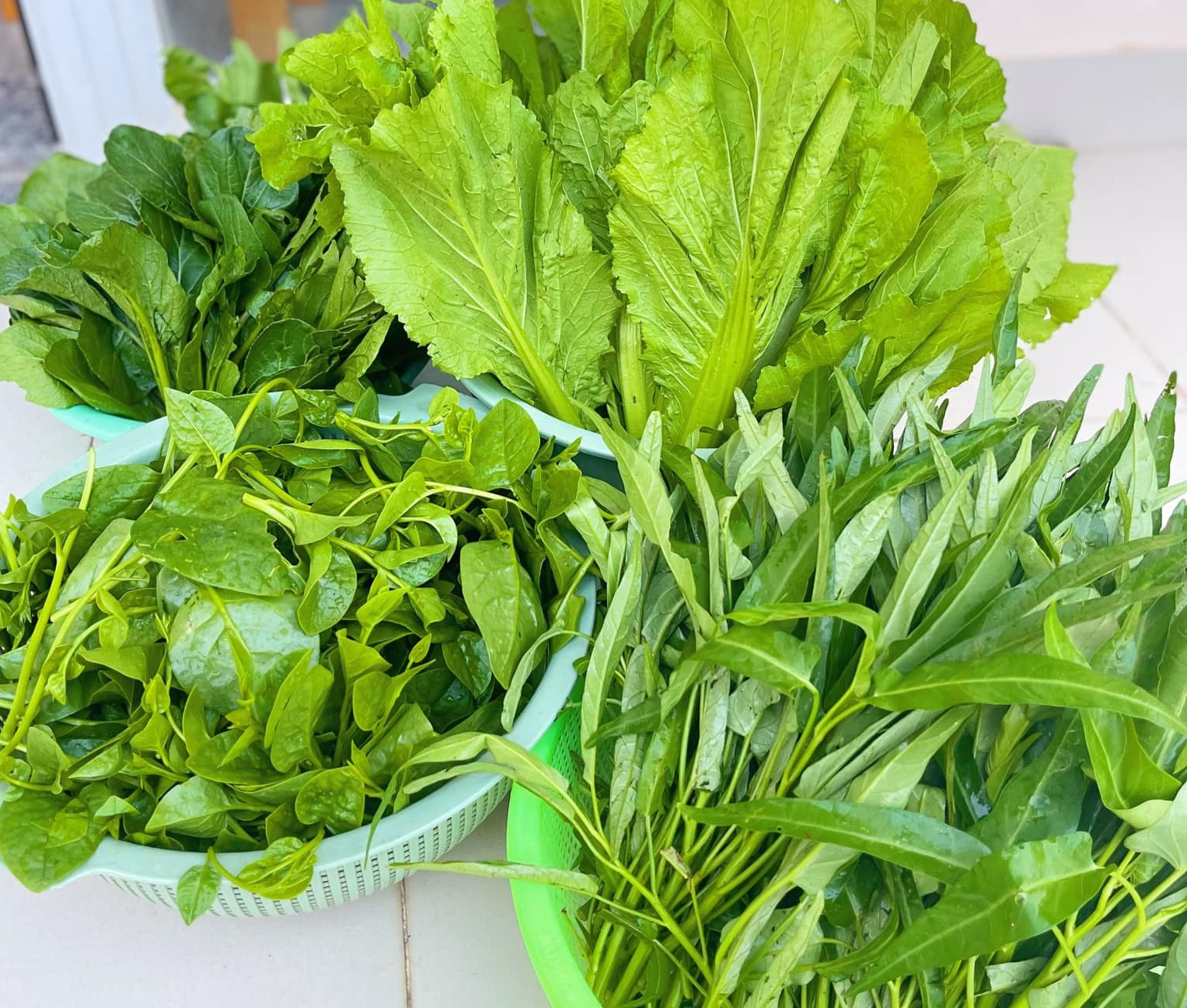 Đặc điểm nhận biết rau có thuốc trừ sâu