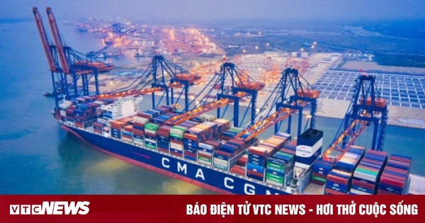 Hãng tàu container đặt cược vào nhiên liệu kép để đảm bảo cho tương lai ...