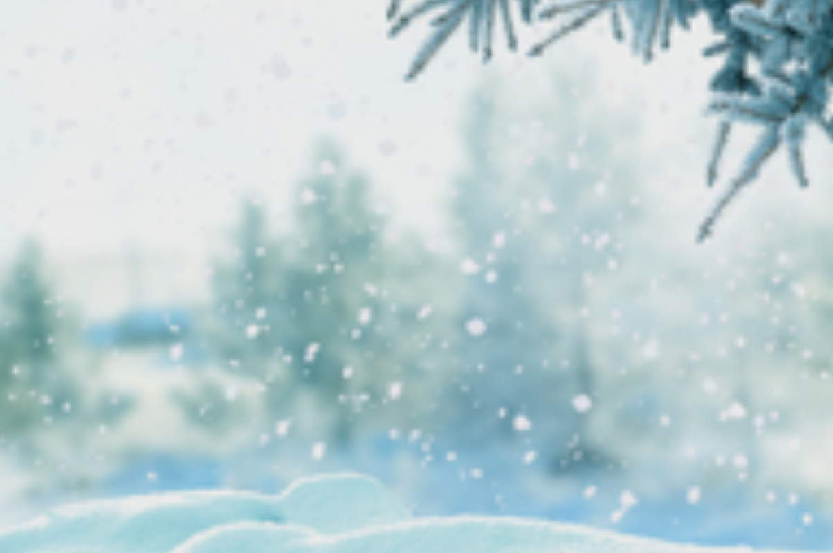 Ngày Đông chí 2024 là ngày nào?