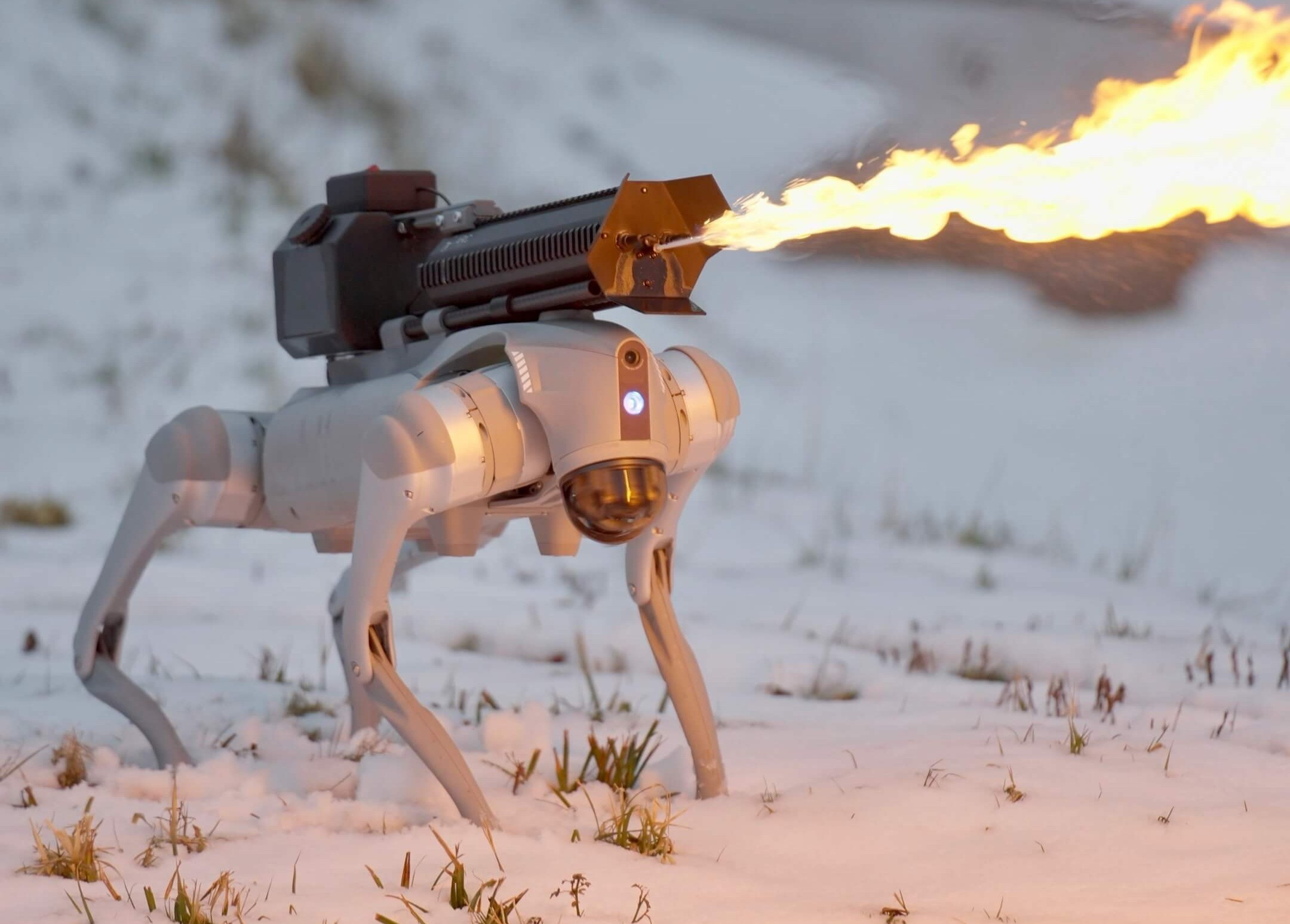 Chó robot có khả năng phun lửa giá 10.000 USD ở Mỹ