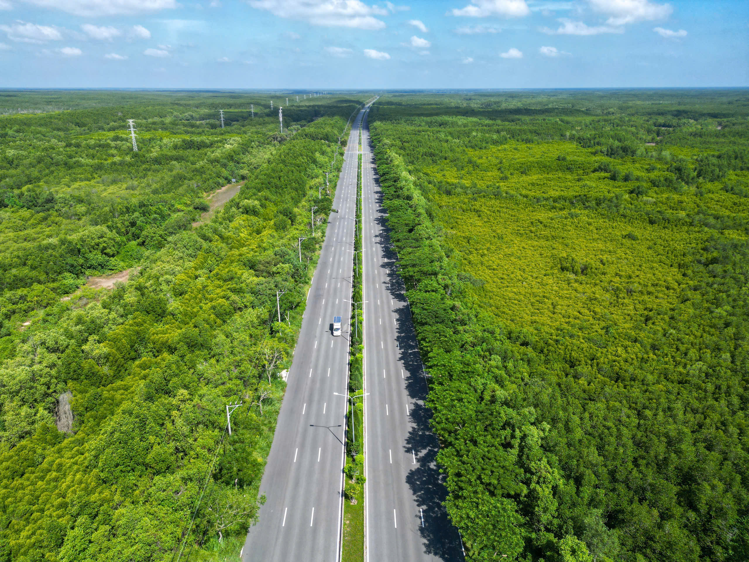 Ngắm tuyến đường xuyên rừng đẹp như tranh ở TP.HCM