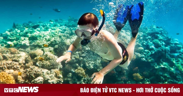 Kinh nghiệm lặn ngắm san hô ở bán đảo Sơn Trà