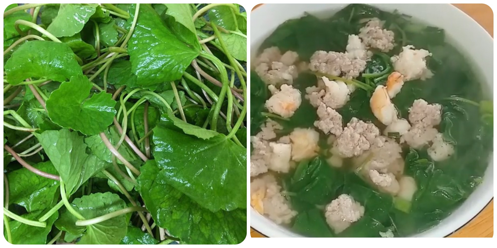 Cách nấu canh rau má không bị đắng