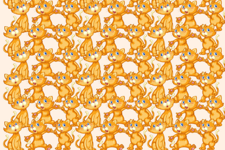 Con mèo nào đang ngậm miệng?