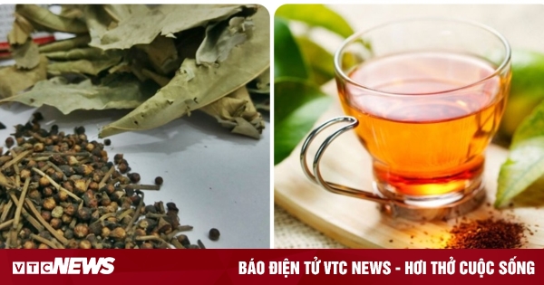 Uống nước vối có tác dụng gì với sức khoẻ?