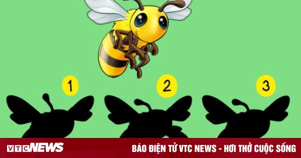 Đâu mới đúng là bóng của con ong?