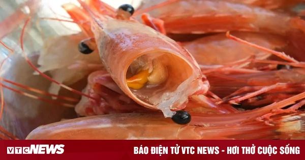 Ăn vỏ tôm có tốt không?
