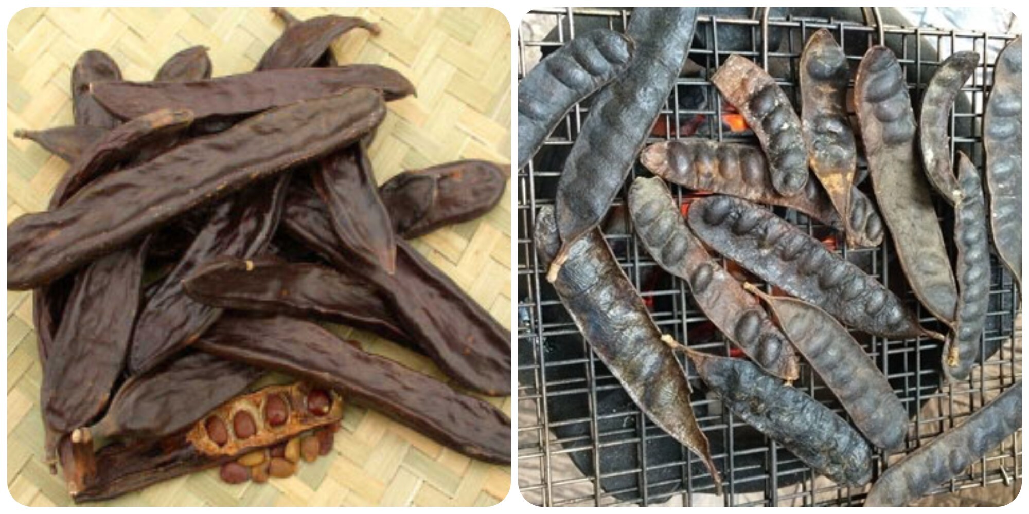 Công dụng của bồ kết ít người biết